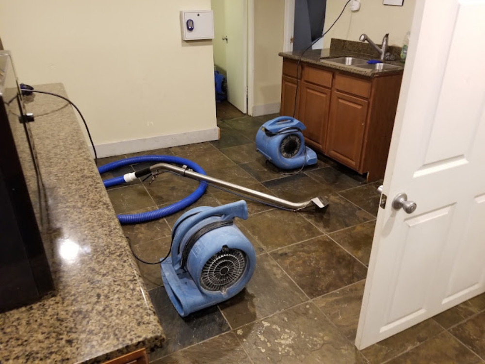 Water Damage Restoration Seattle | 24/7 Emergency Service